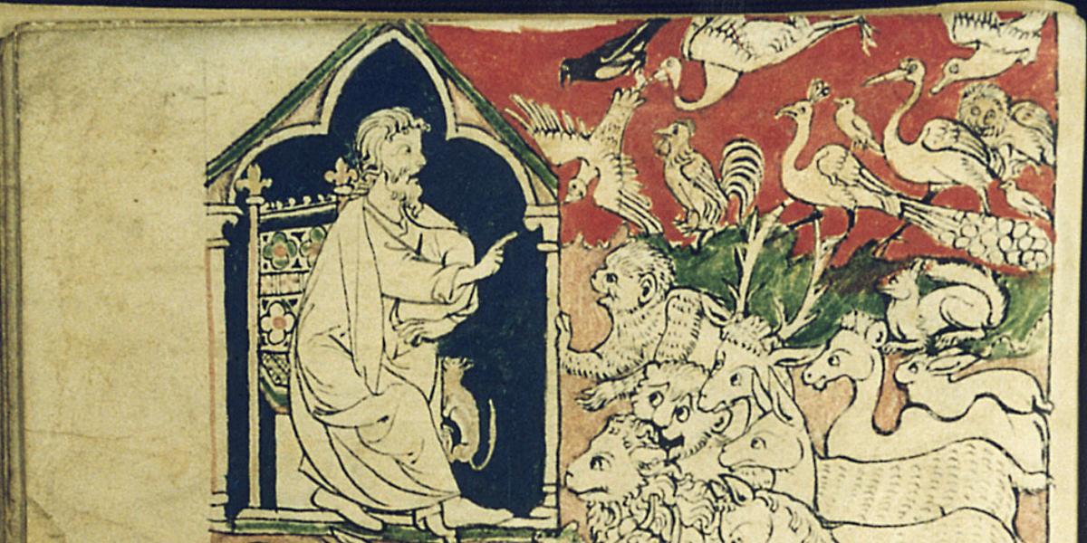 Metaphor as Postlapsarian Naming – Mysteries and Manners